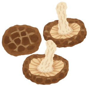 「絶対にあのお菓子だと思ったのに…」子供をぬか喜びさせるデザインの“干ししいたけ”が話題にw