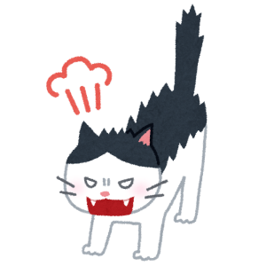 【動画】喧嘩ばかりする野良猫にGoProをつけてみた結果wwwww