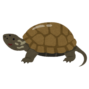 「こんなに足長かったのか…」ある池で甲羅干しする亀が春を満喫しすぎだと話題にwww